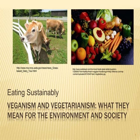 Vegetarianism Power Point Project | PPTX
