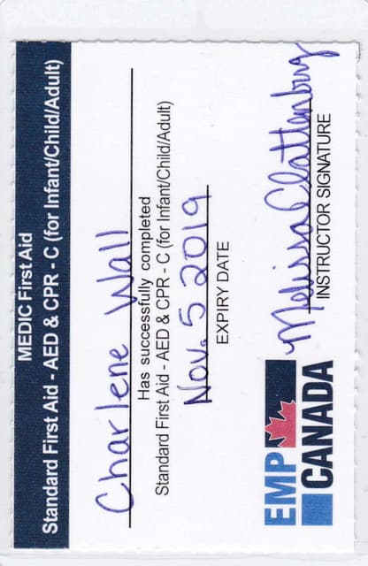 CSTS CERTIFICATE | PDF