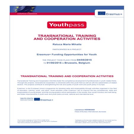 Empowering Youth Through Social Media: Insights from Erasmus+ Training ...