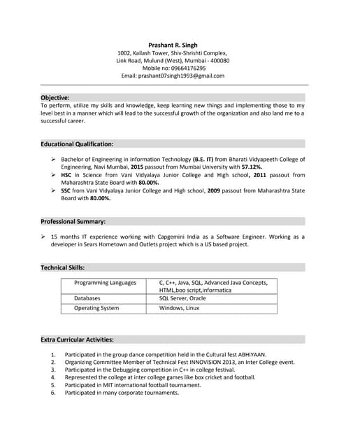 Leena resume for testing | PDF