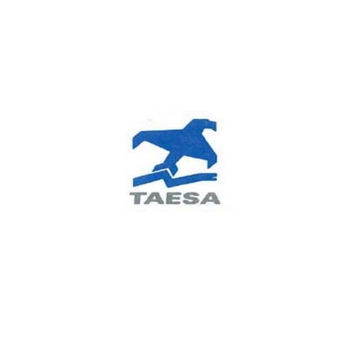 Logo Taesa | DOCX