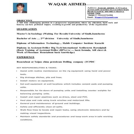 Waheed cv | PDF