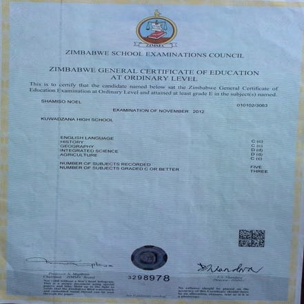 O level certificate 02 | PDF