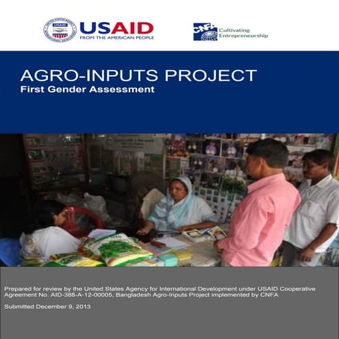 Gender-Assessment | PDF