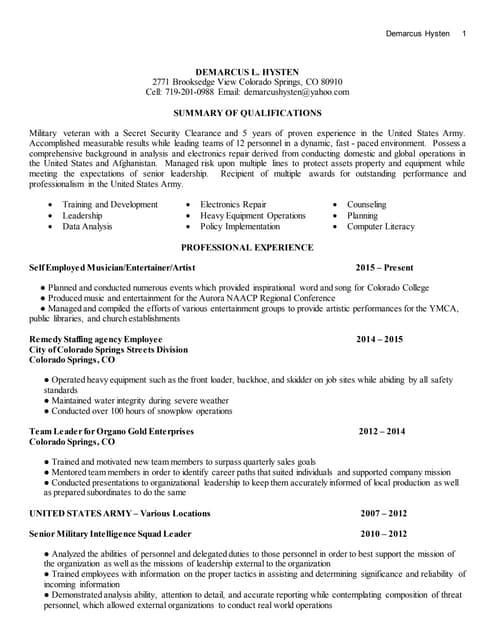 Ali Salih's resume | PDF