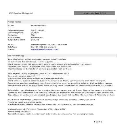 Cv lars velthuijsen | PDF