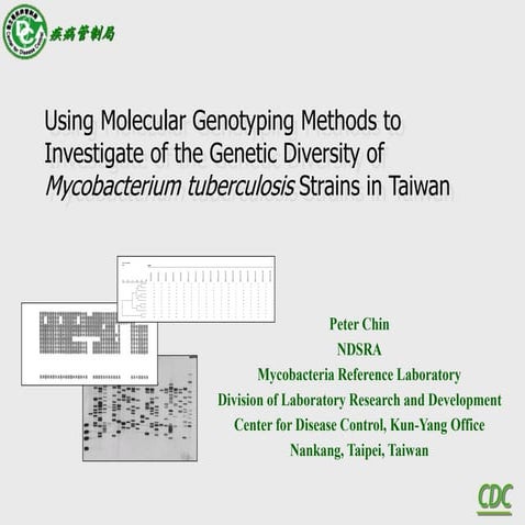 TB Genotyping | PDF