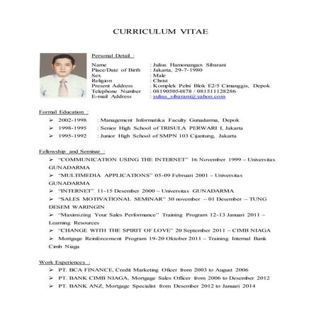 CURRICULUM VITAE julius | DOCX
