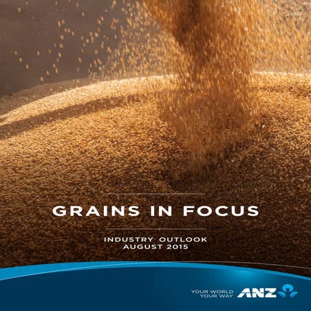 August2015 Grains in Focus | PDF