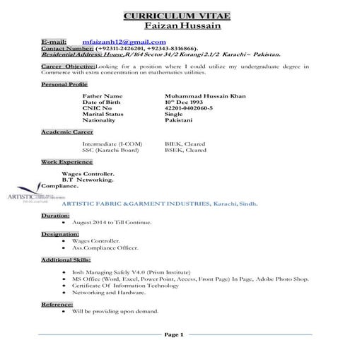 Faizan C.v | PDF