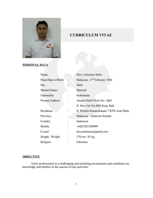 Curriculum Vitae | PDF | Technology & Computing