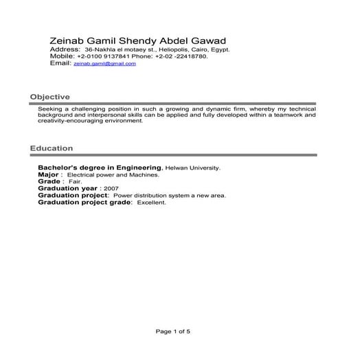 CV zeinab 2015 | PDF