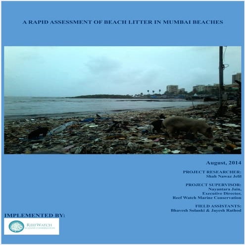 Beach litter report_Jelil | PDF