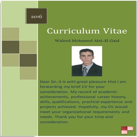 cv new1 | PDF