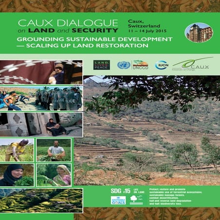 CDLS 2015 Report | PDF