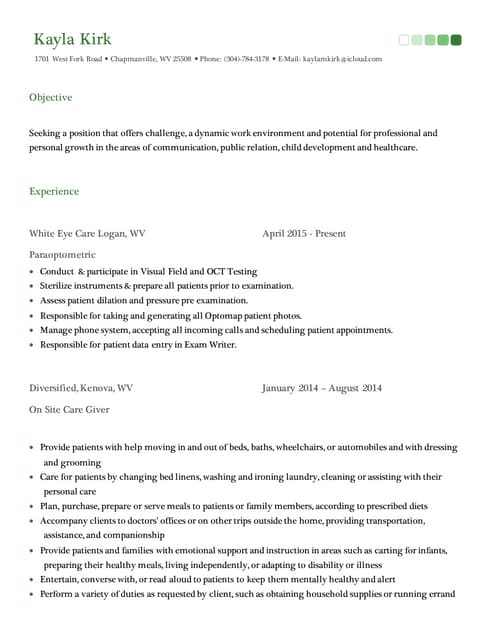 Amy Professional Resume | DOCX