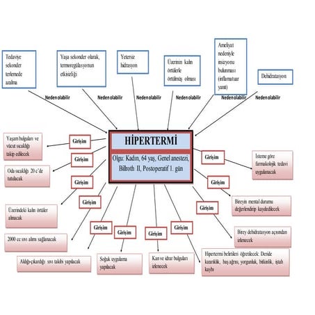 Hipertermi Kavram Haritası | PPT