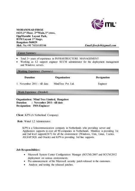 Resume | DOC | IT and Internet Support | Internet