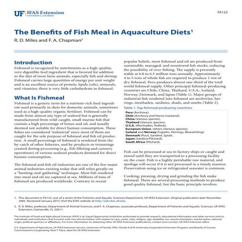 Importance of Fish meal for a healthy life | PDF