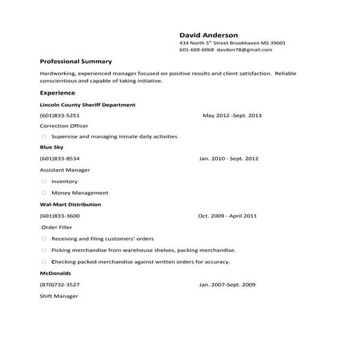 new david resume | PDF