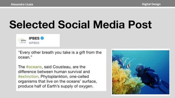 Ocean Pollution! | PPT