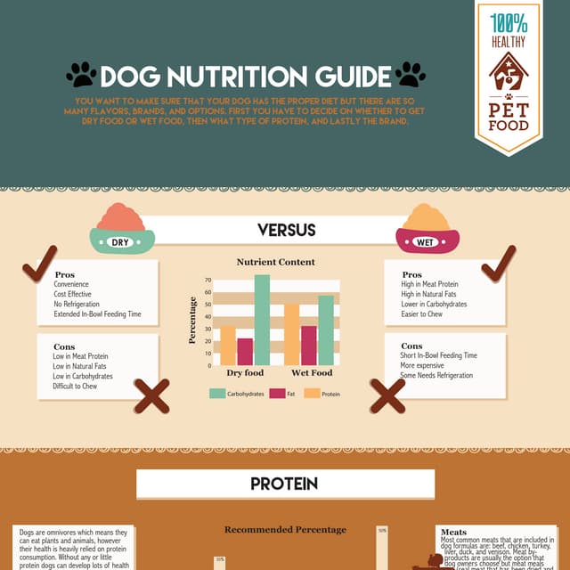 Dog nutrition | PDF