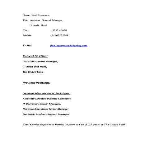 CV Ziad M | DOCX | IT and Internet Support | Internet