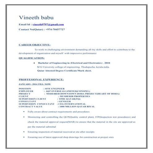 Vineeth biodata | PDF