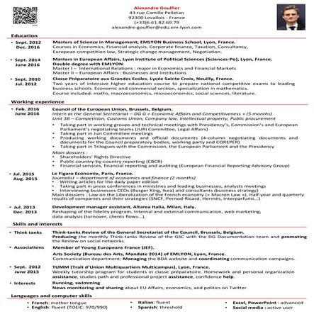 03022017 Alexandre_Goulfier_CV_eng.compressed | PDF | Business ...