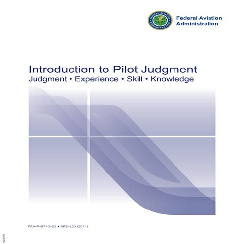 Flying Twins FAA P 8740-66 | PDF