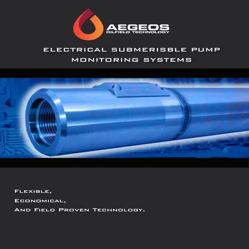 ESP Gauge Catalogue - AEGEOSoilfield | PDF