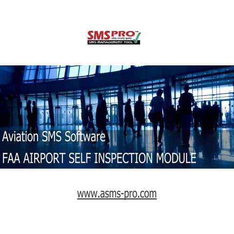 FAA Airport Self Inspection.pdf