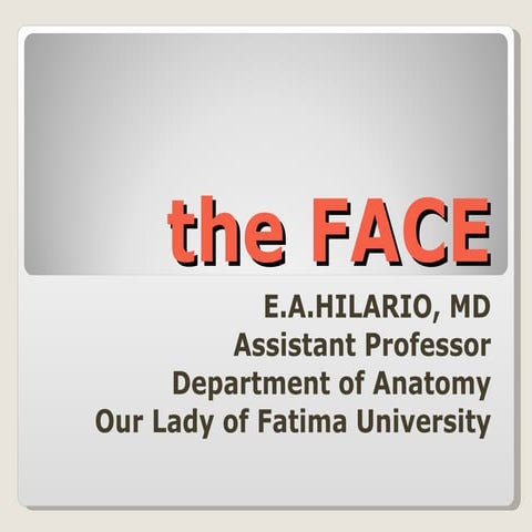 Face | PPT