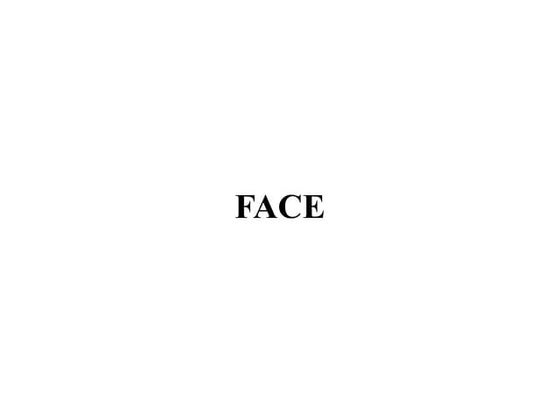 Nerve supply of face & applied | PPTX