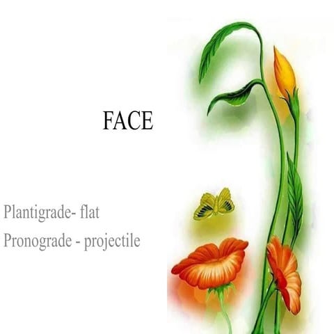 Face | PPT