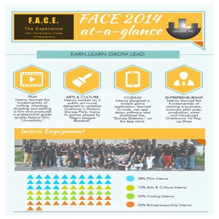 FACE at a-glance 2014- inforgraphic | PDF