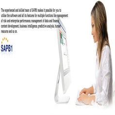 Sapb1 Services Singapore | PDF