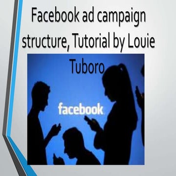 Facebook ad campaign structure, tutorial by louie | PPT