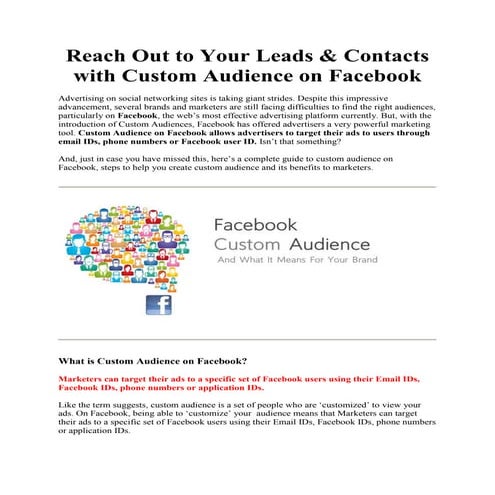 Facebook custom audience tool | PDF