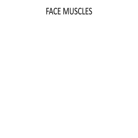 FACE MUSCLES | PPTX
