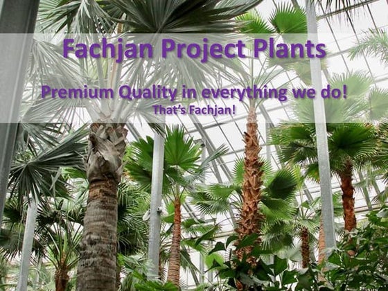 Meten is Weten Greenhabit | PPTX
