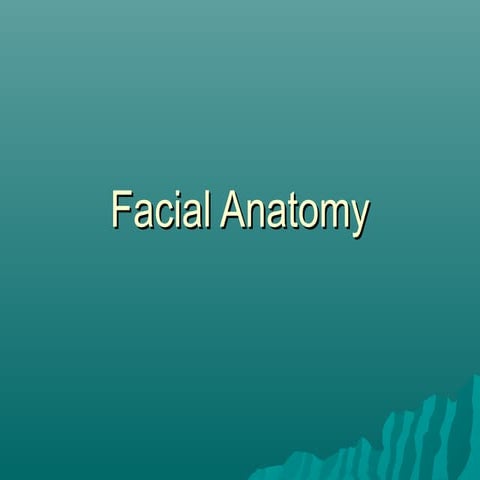 Facial anatomy | PPT