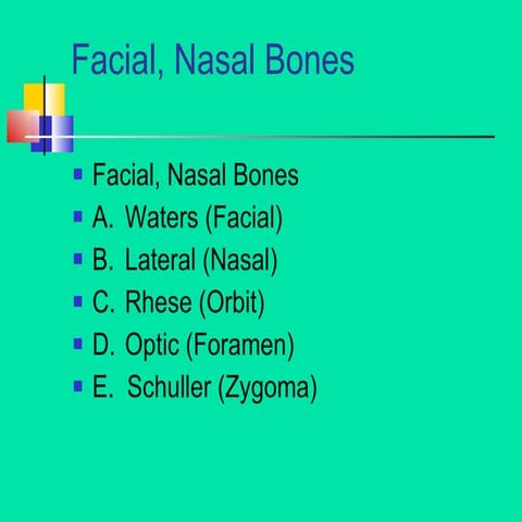 Facial Bones09slideshate | PPT