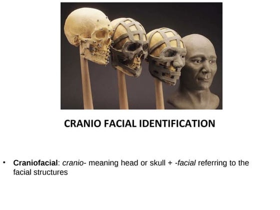 Craniometry.ppt