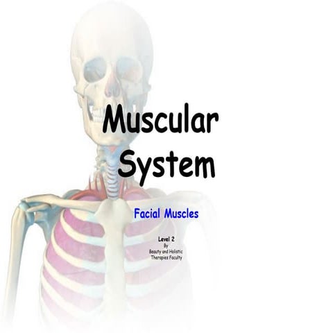 Facial muscles | PPT