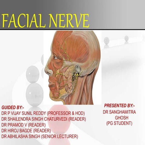 Anatomy of facial nerve | PPT