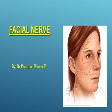 Facial Nerve.pptx | Death, Injury, or Military Conflict | Sensitive Topics