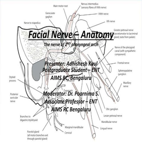 Facial Nerve.pptx