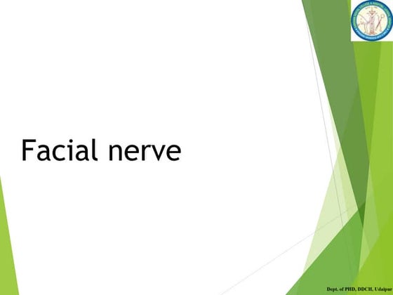Anatomy of facial nerve | PPT