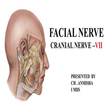 FACIAL NERVE ANATOMY AND ITS BRANCHES .pptx